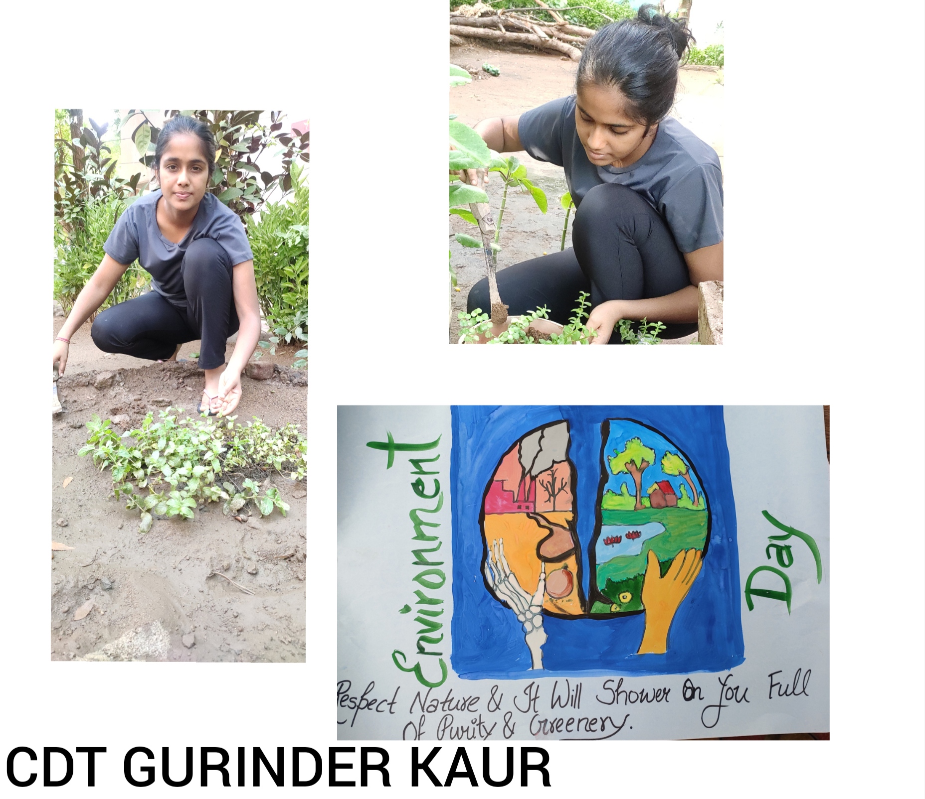 World environment day – India NCC