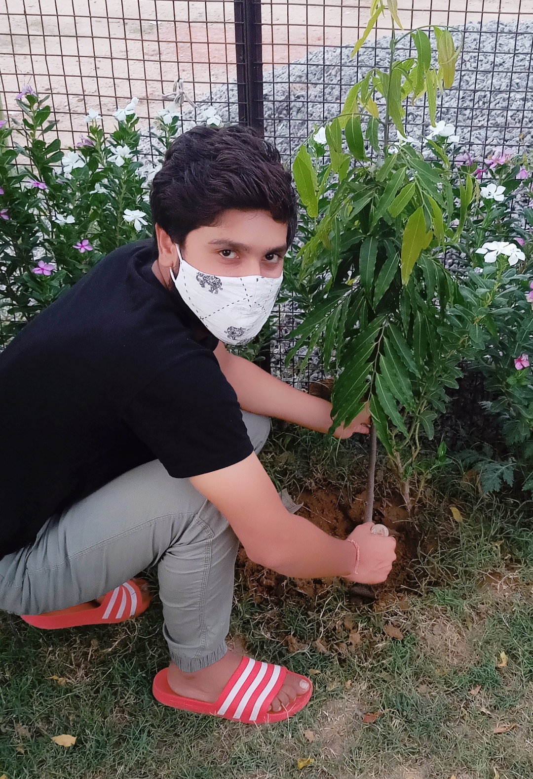 PLANTING TREES – India NCC