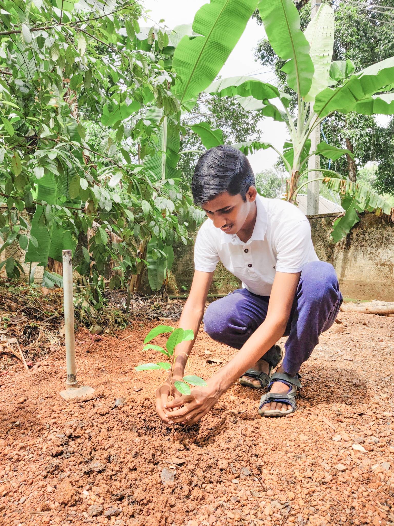 PLANT A TREE – India NCC