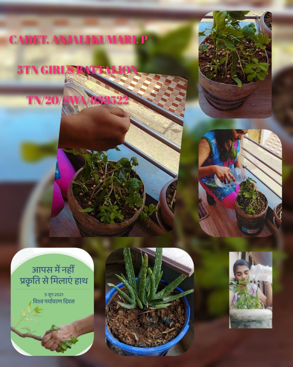 Environment day – India NCC