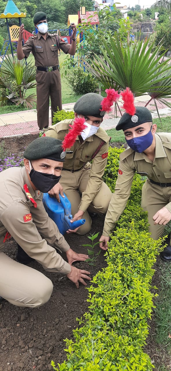 tree ? plantation work – India NCC