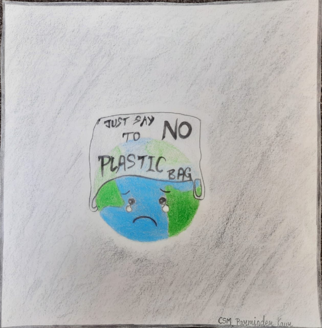 Poster Making on avoiding Plastic Use – India NCC