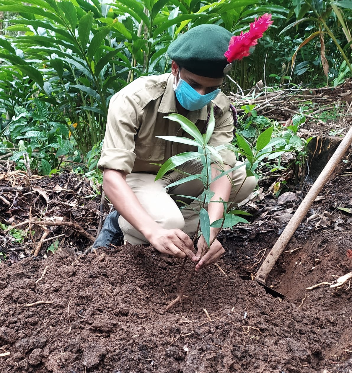 Sapling planting on Environment day – India NCC