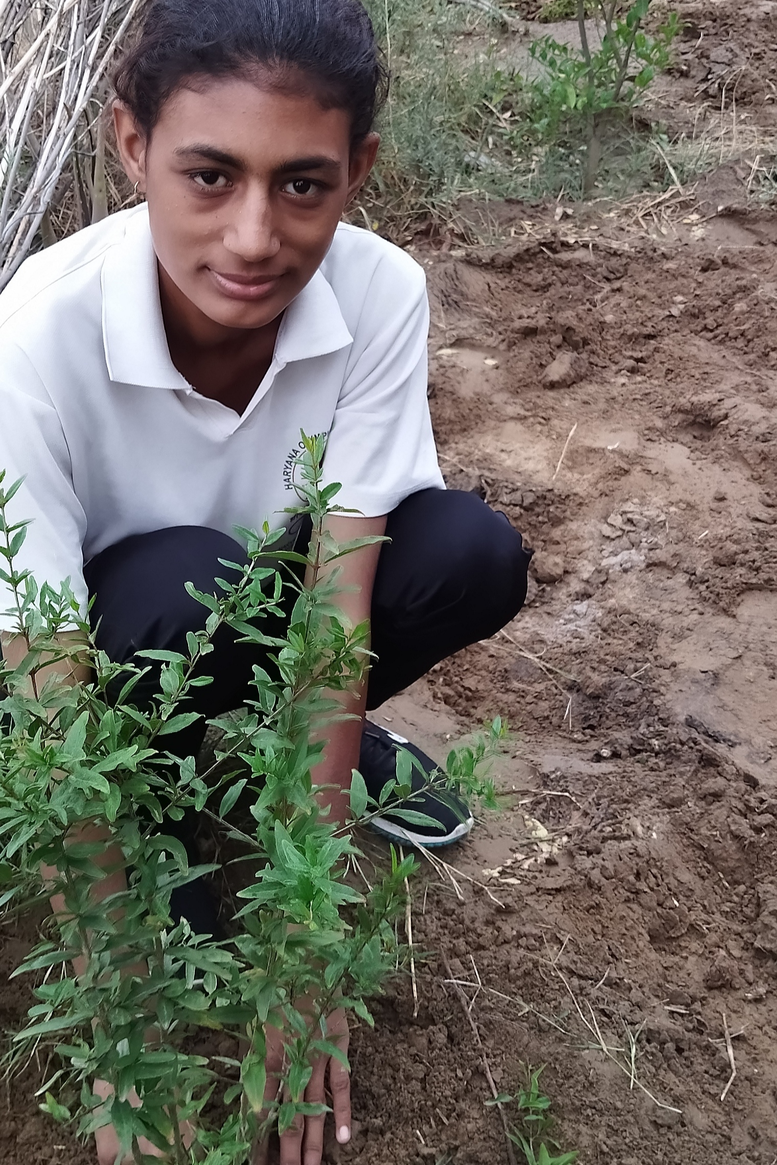 Tree Plantation – India NCC
