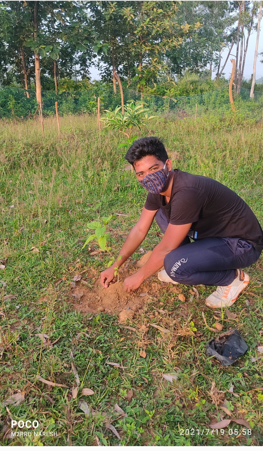 Tree Plantation – India NCC