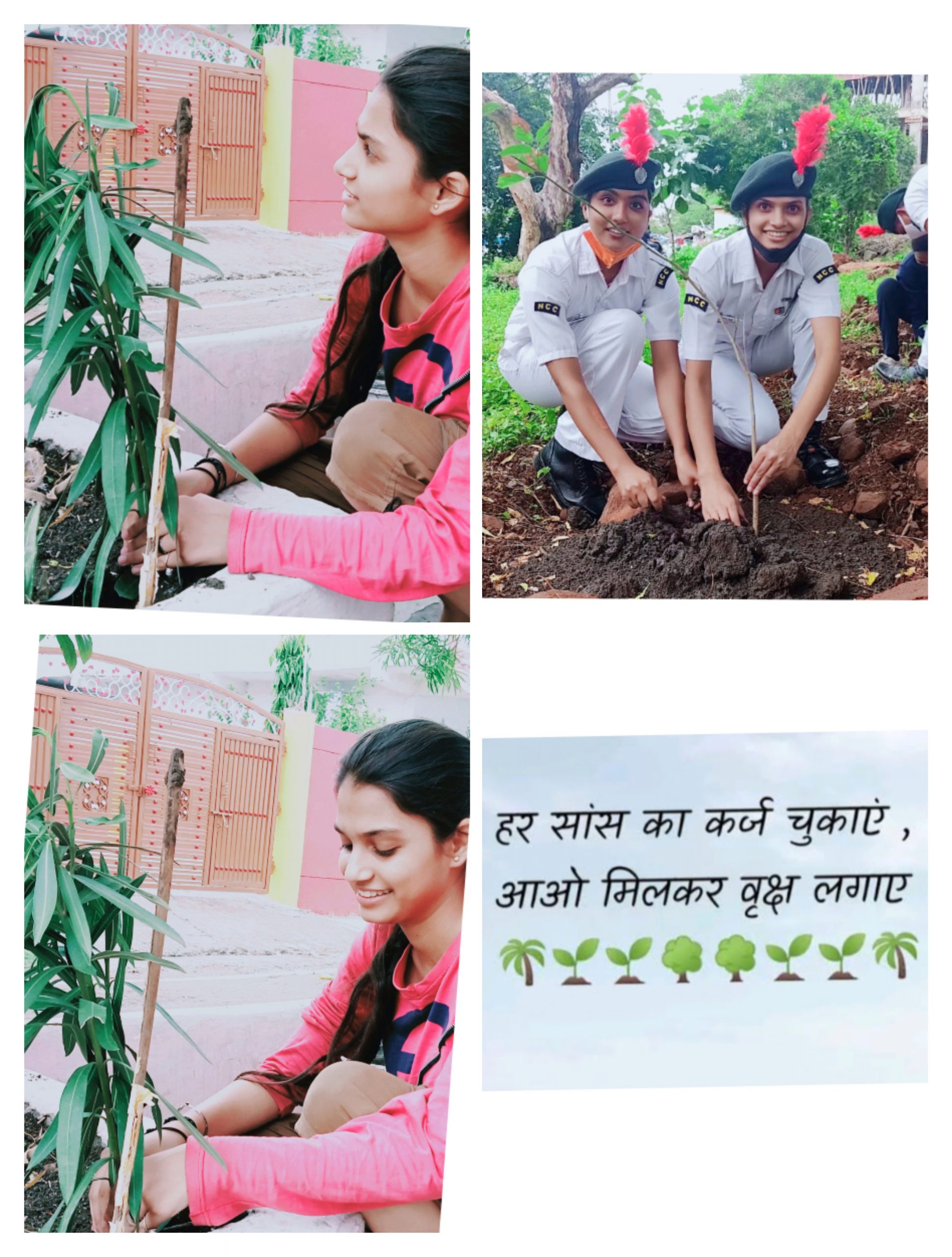 Tree plantation – India NCC