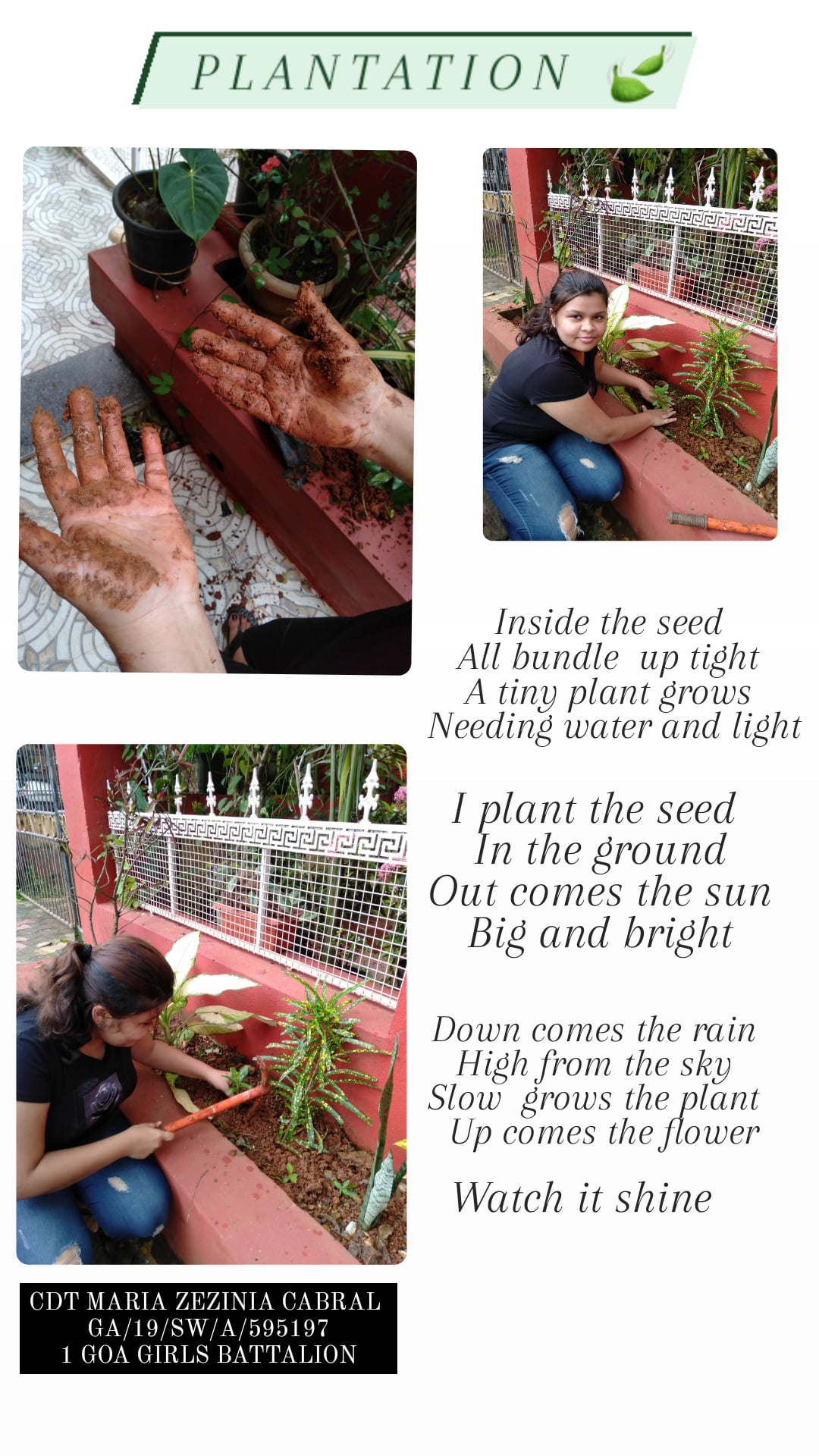 Plantation – India NCC