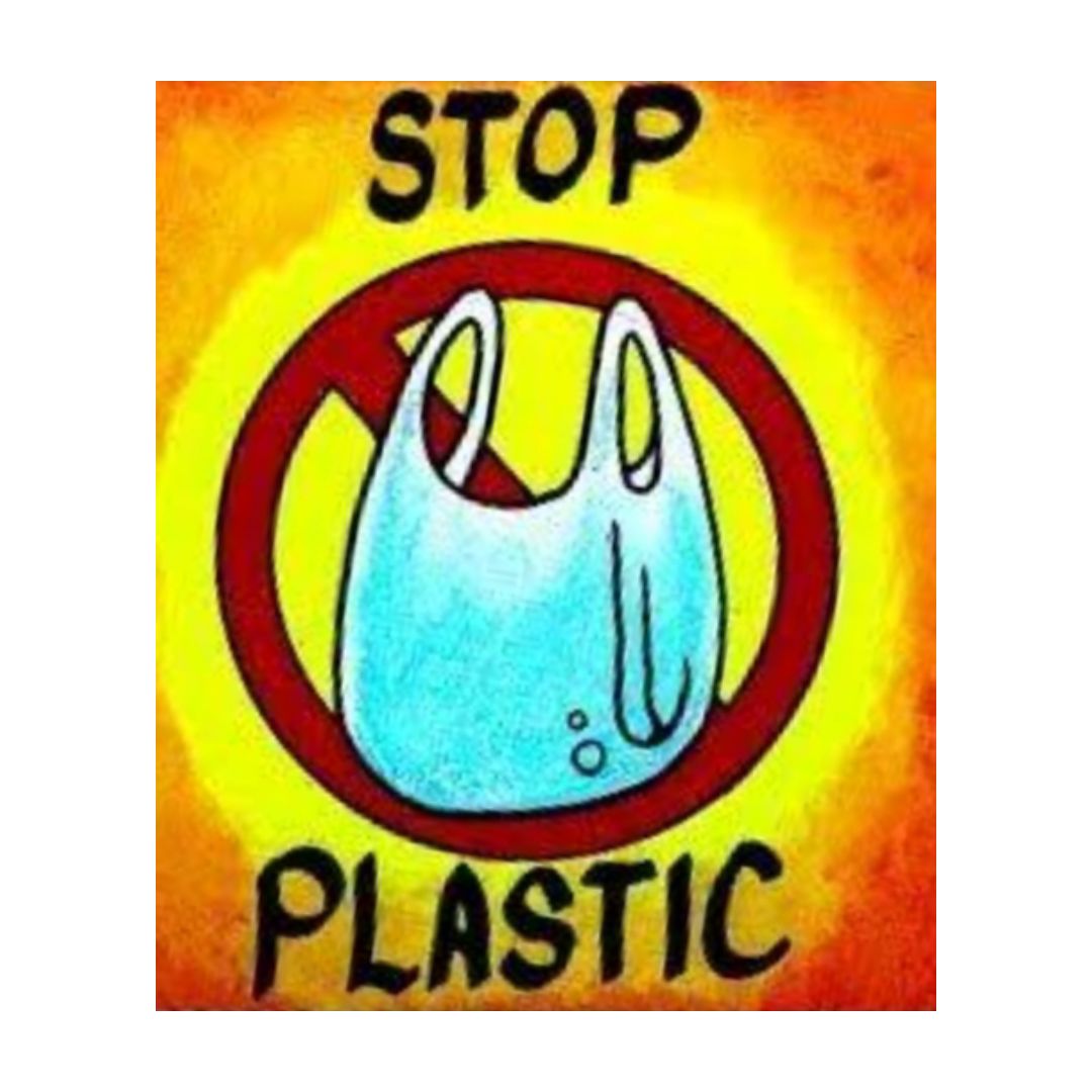 Stop using plastics – India NCC