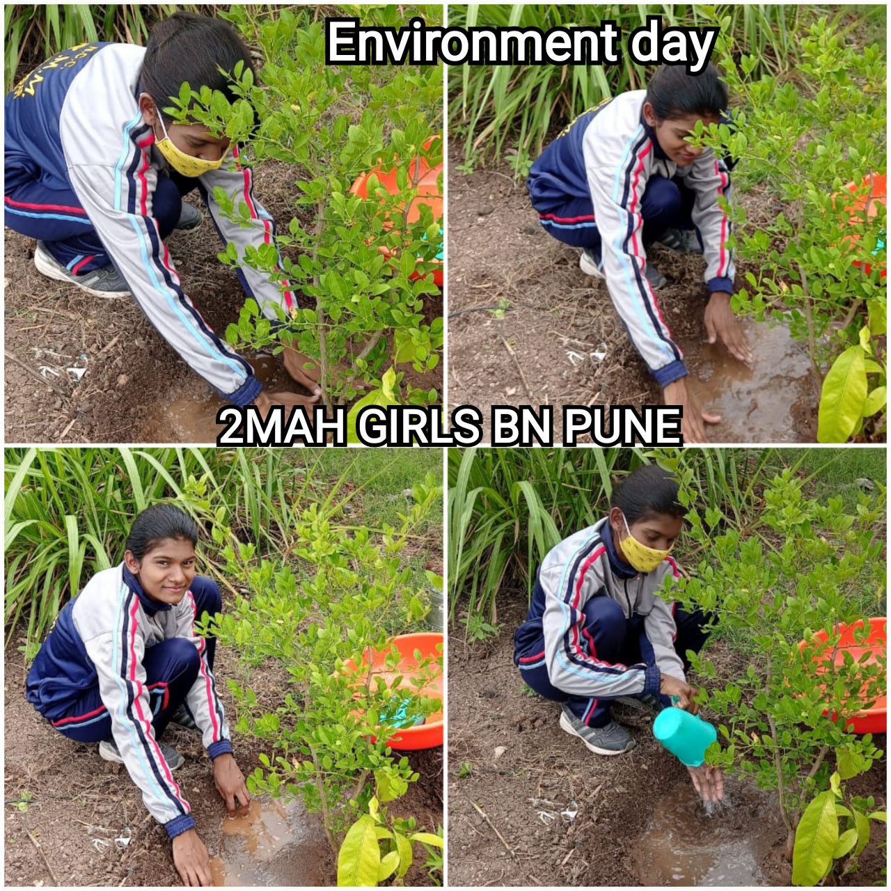 Environment day – India NCC