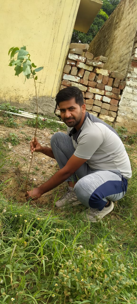 Tree plantation – India NCC