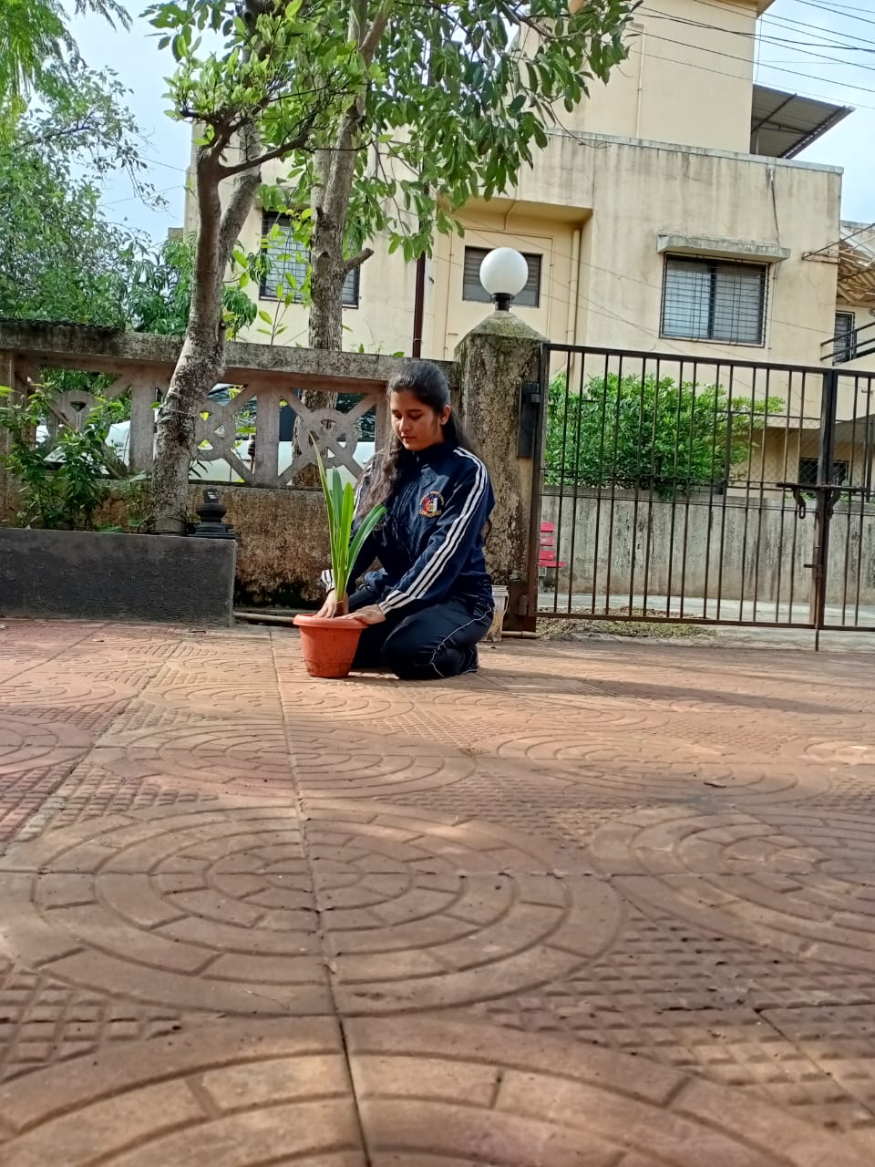 Tree plantation activity – India NCC