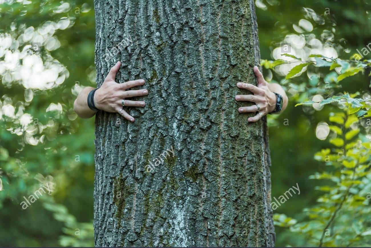 Save tree – India NCC