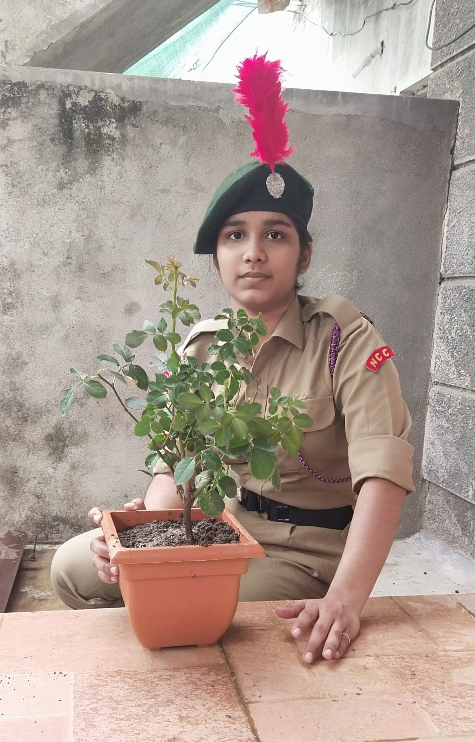 tree-plantation-india-ncc