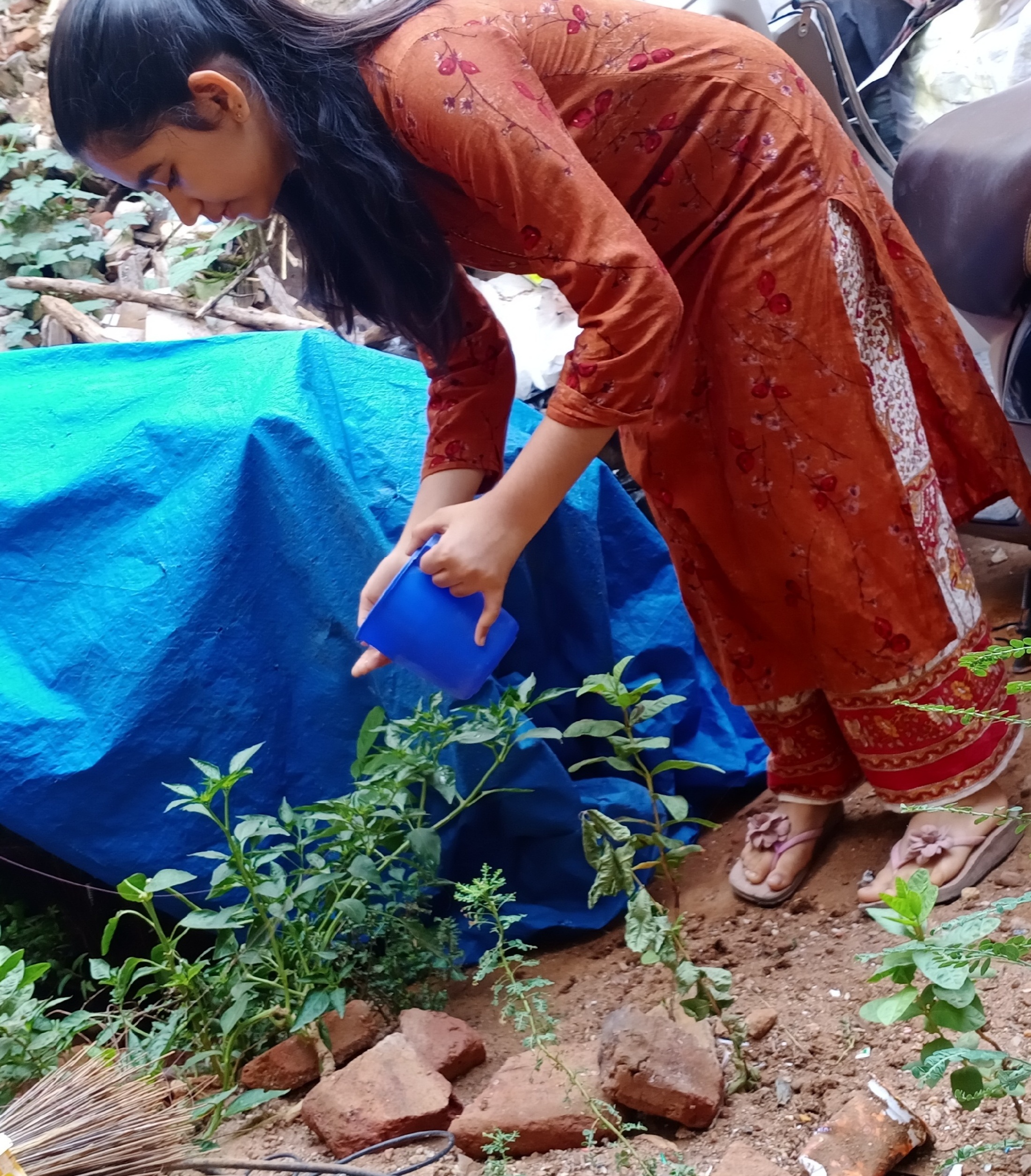 Watering a sapling – India NCC