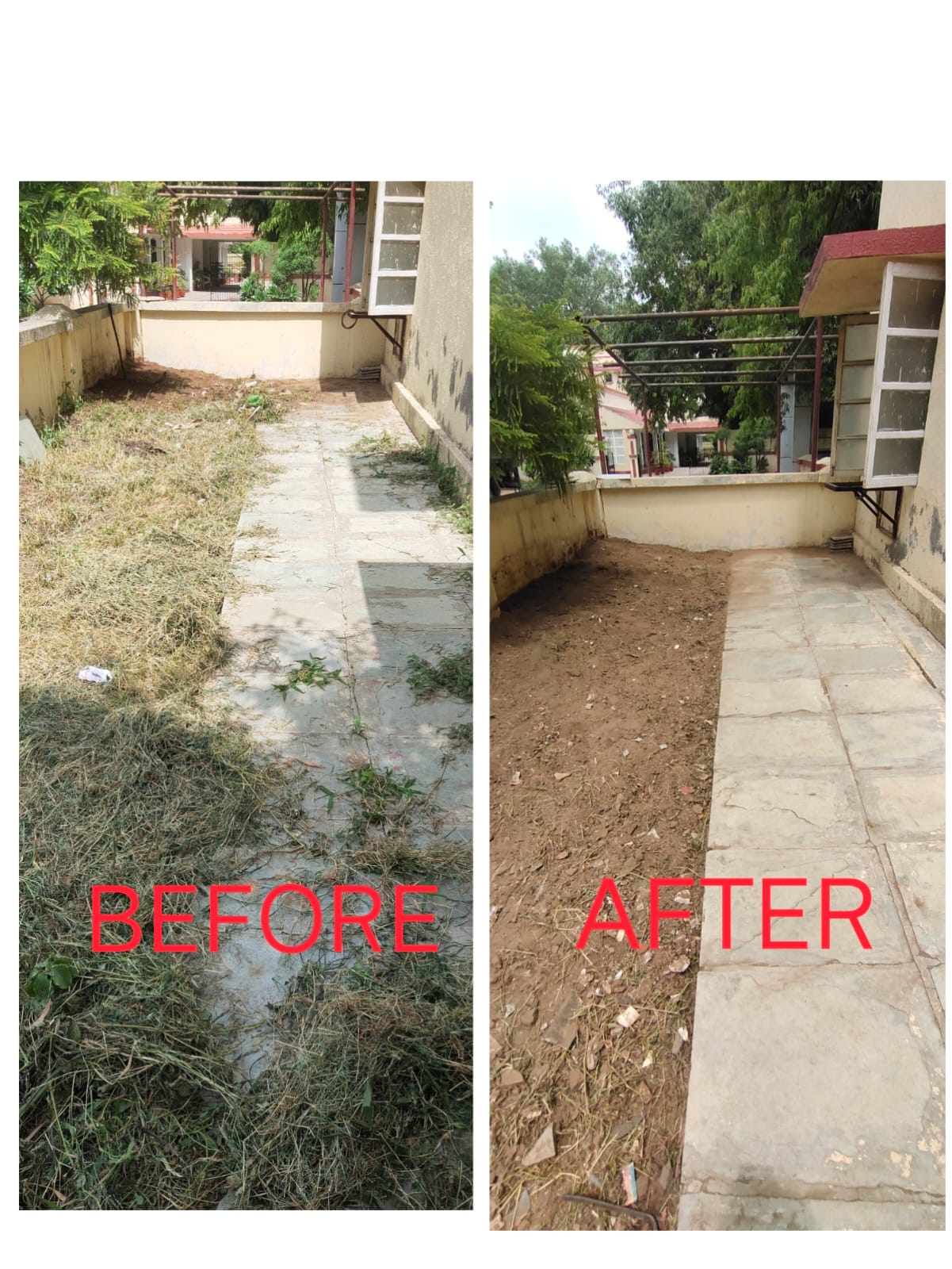 NCC activities – India NCC