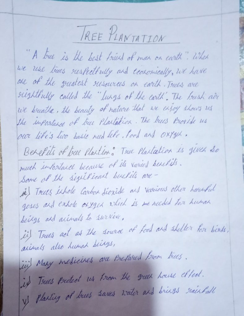 Tree Plantation – India NCC