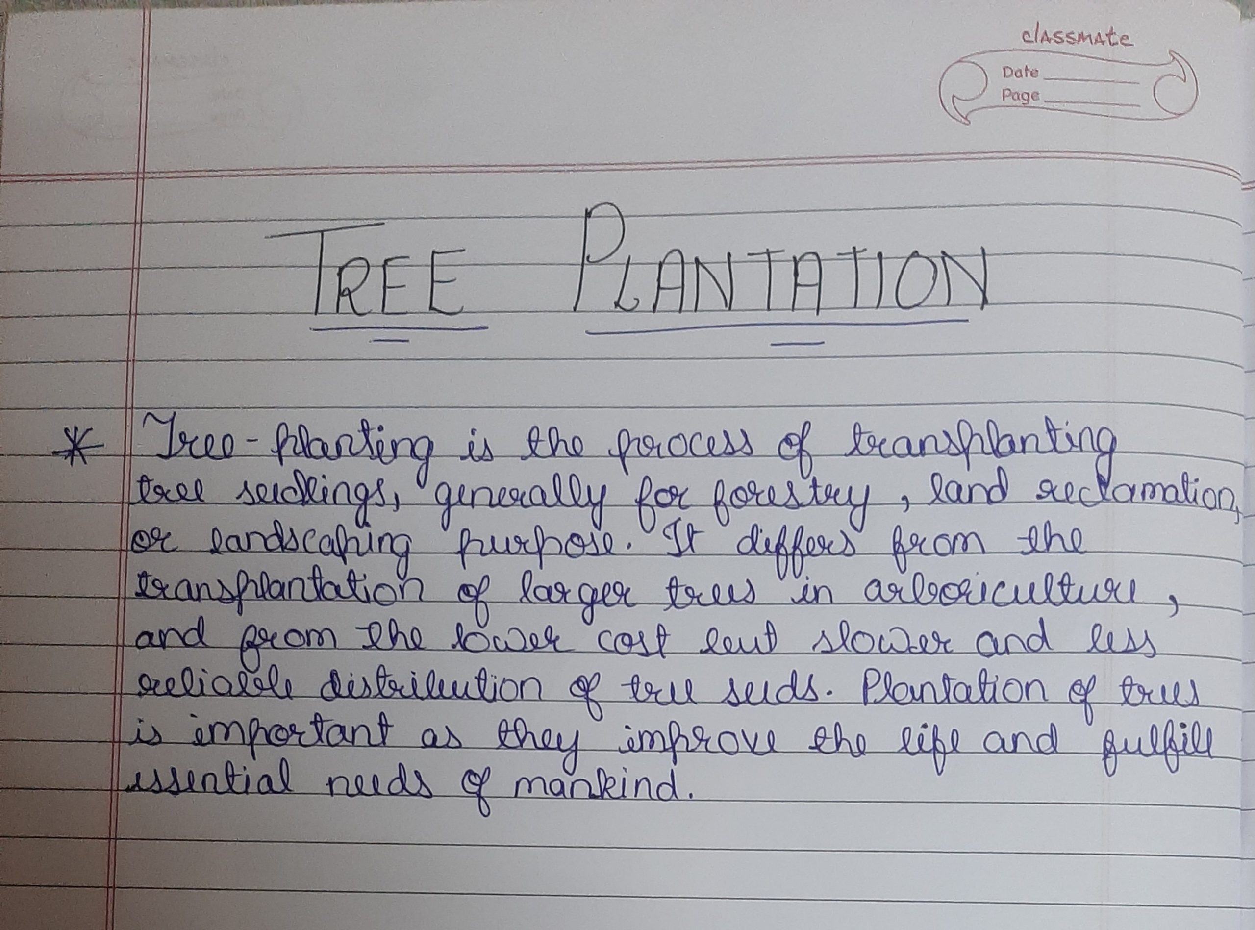 Tree Plantation – India NCC