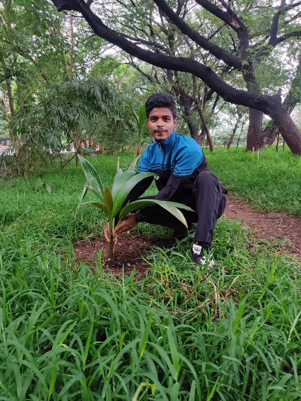 Tree Plantation – India NCC