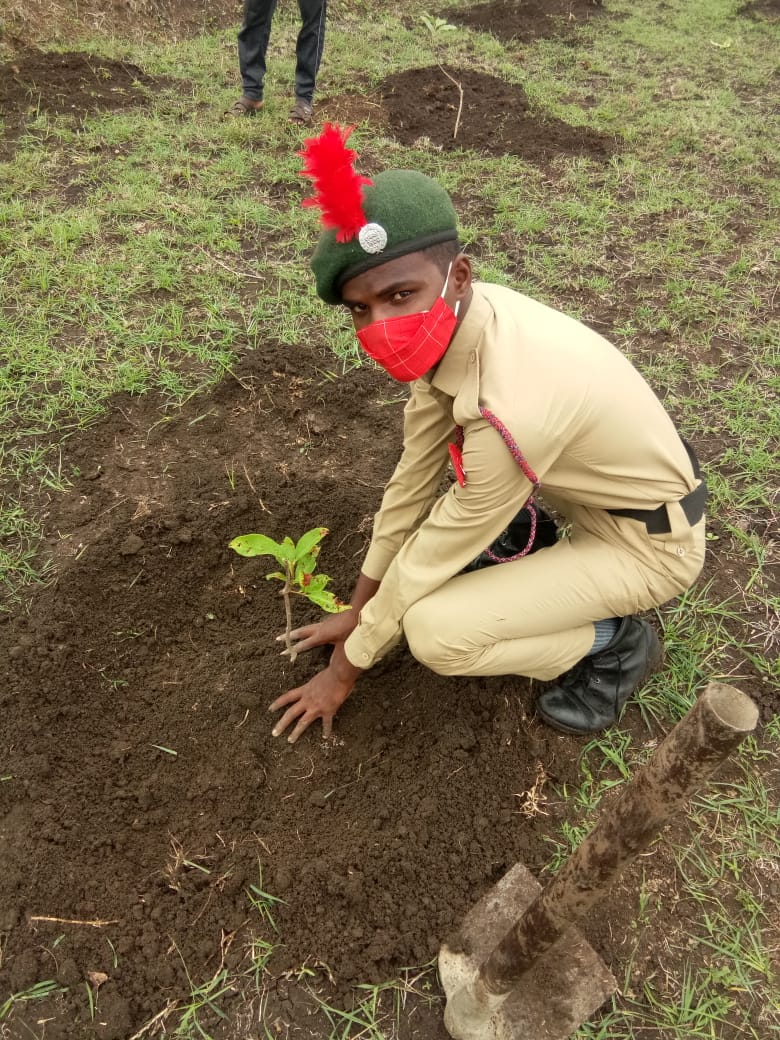 Tree plantation program – India NCC