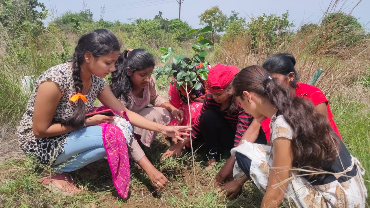 Tree plantation – India NCC