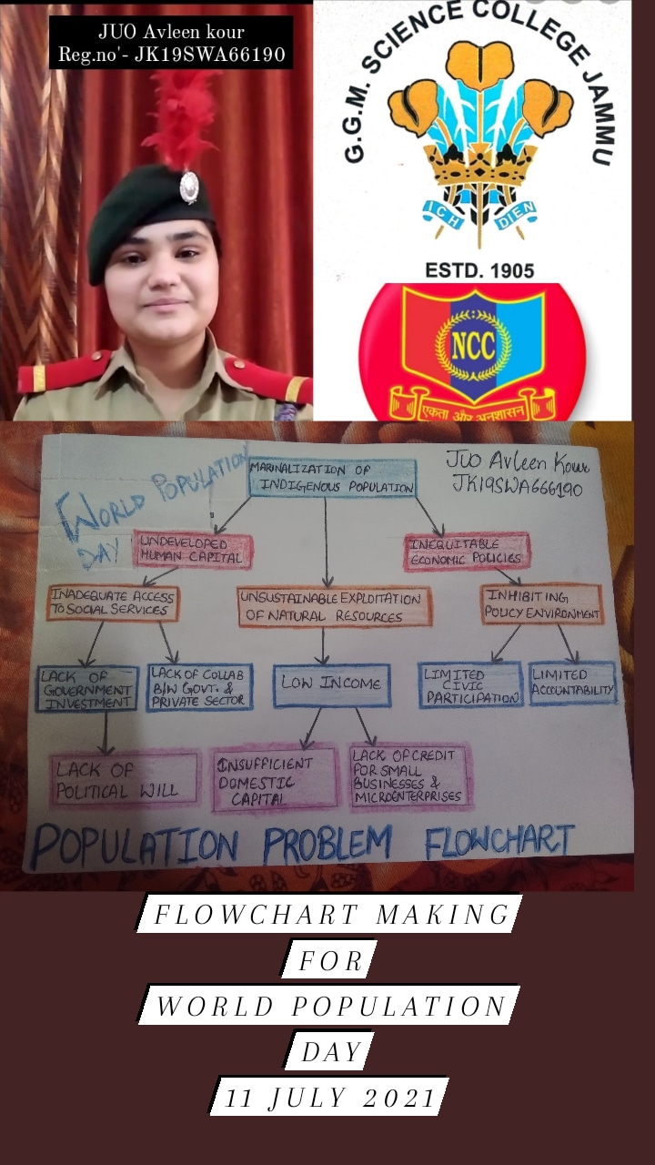 Flowchart making on world population Day – India NCC