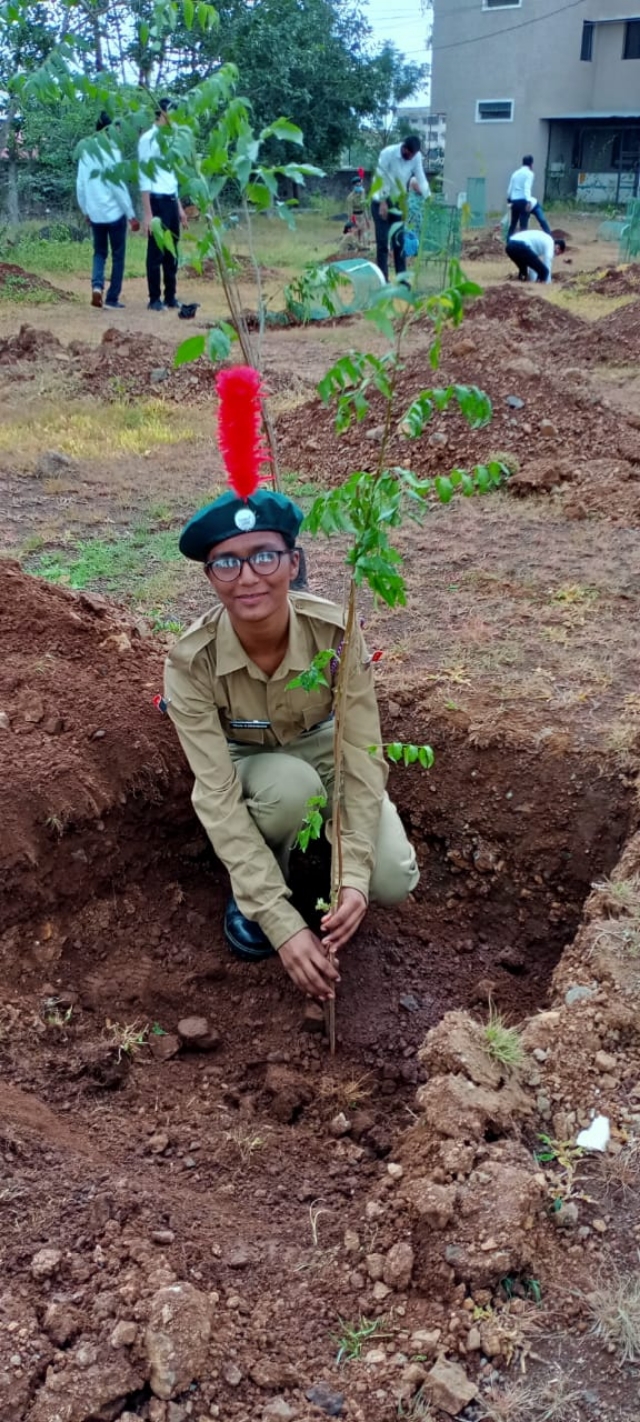 Tree plantation – India NCC