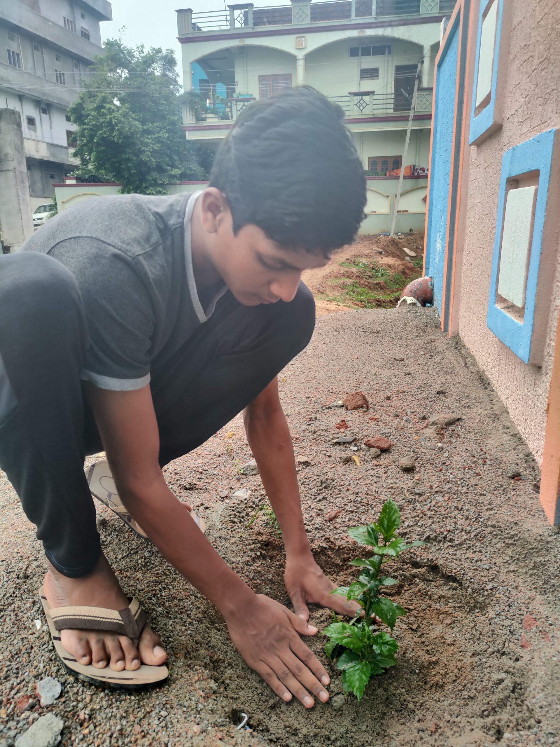 Tree plantation – India NCC