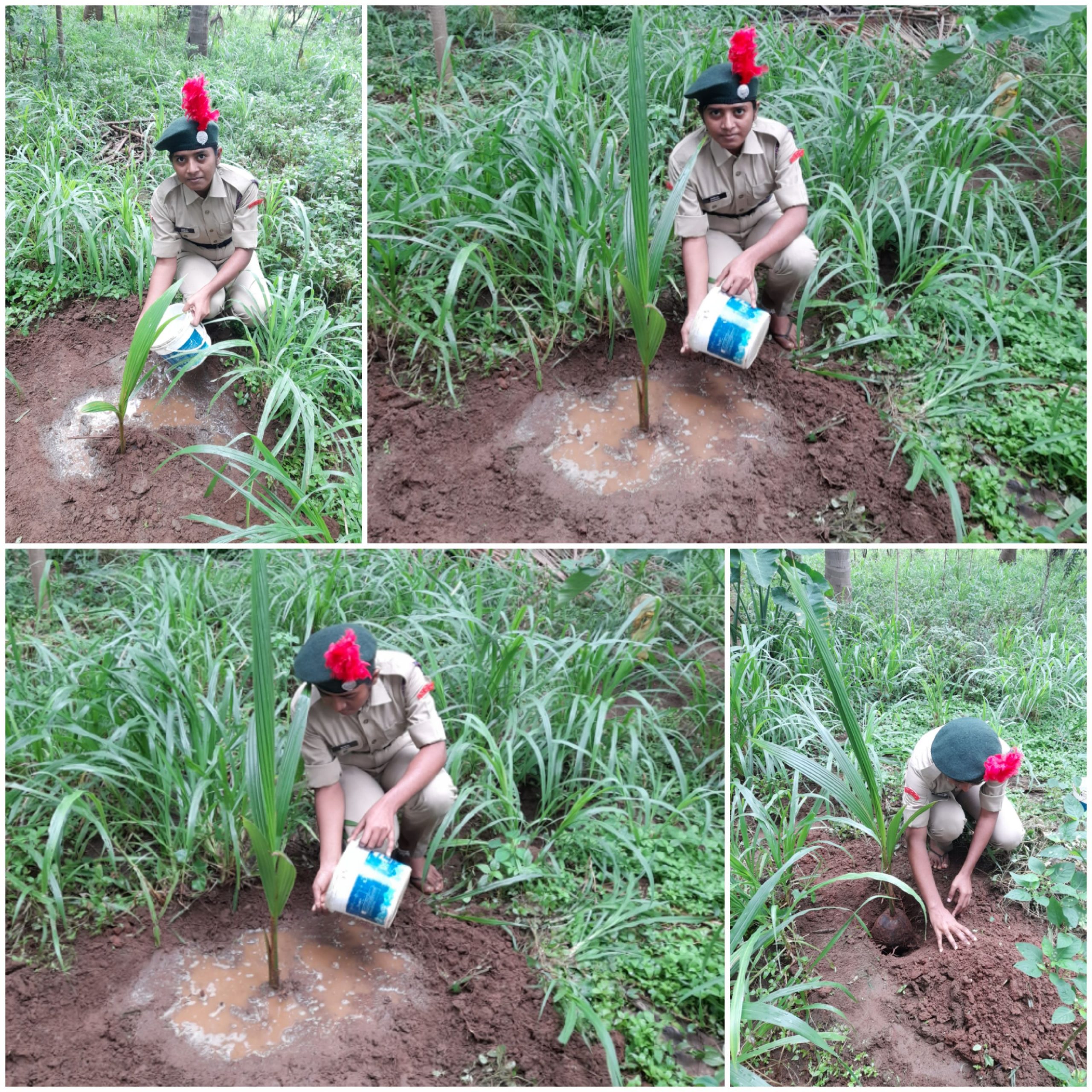 Tree Plantation – India NCC