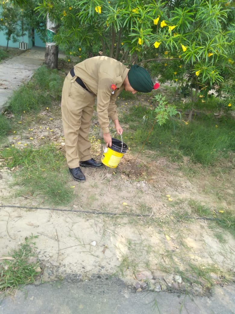 Tree Plantation Activity – India NCC