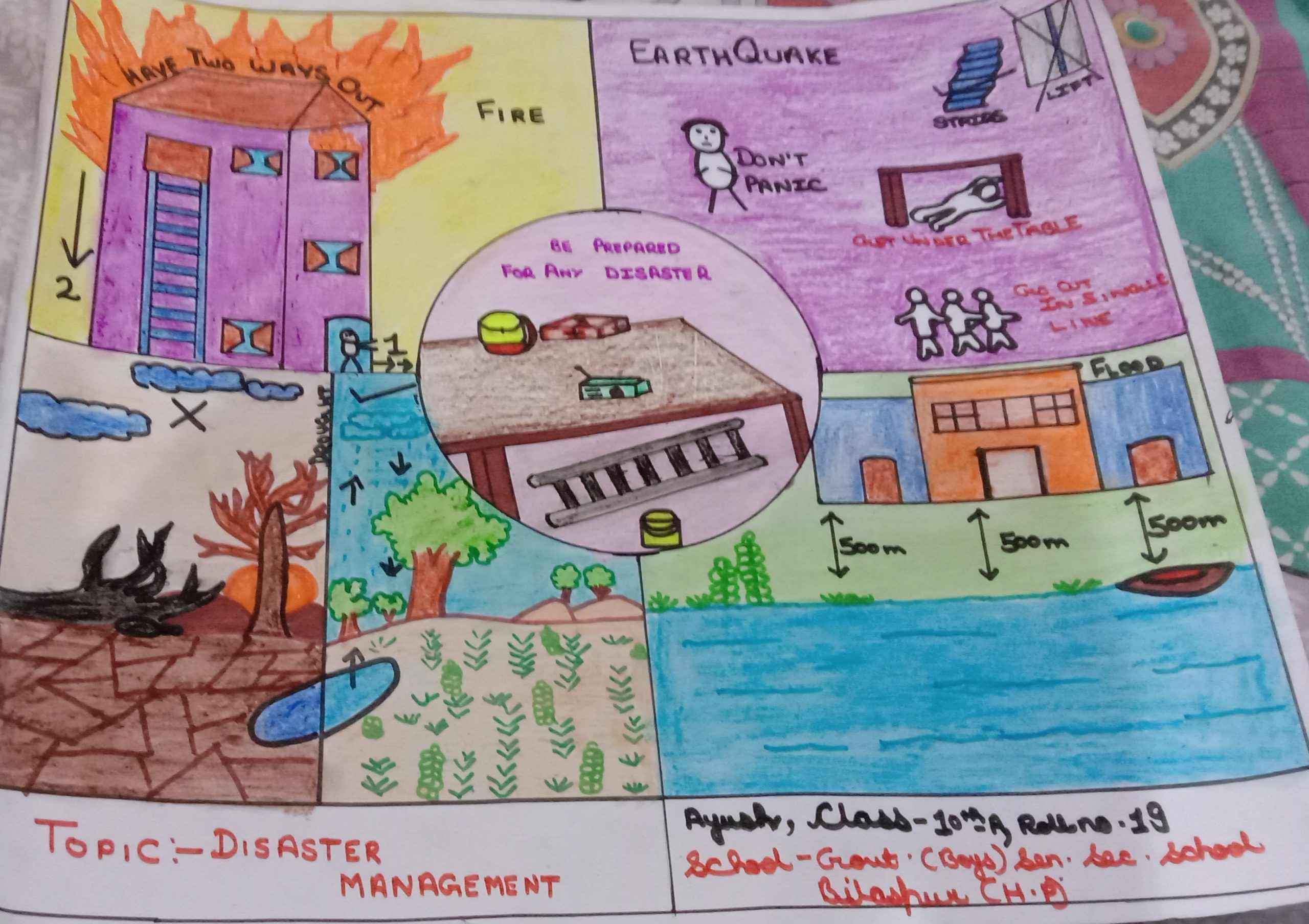 Painting on Disaster management – India NCC