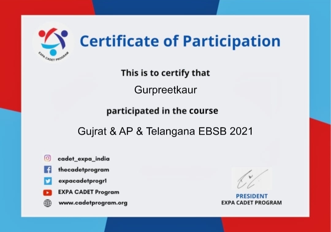 EBSB CAMP AND EXPA TRAINING PROGRAME – India NCC