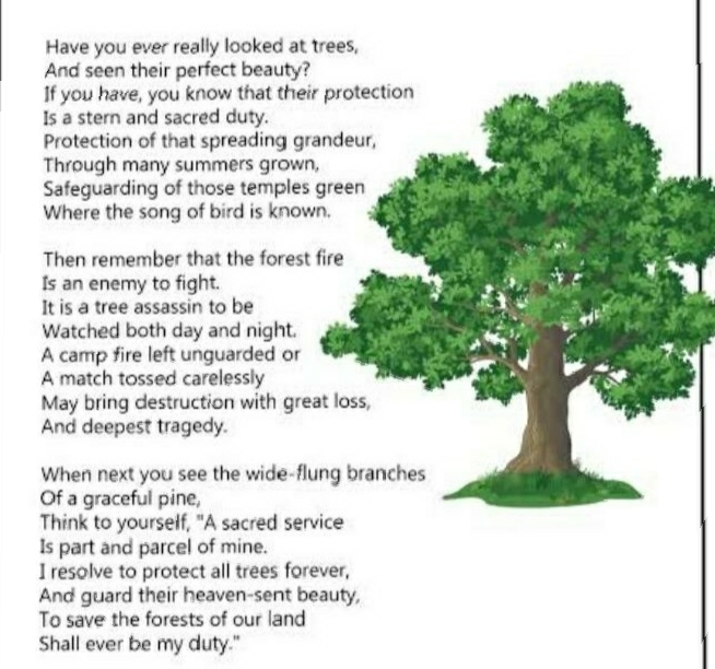 Poem on Forest Conservation – India NCC