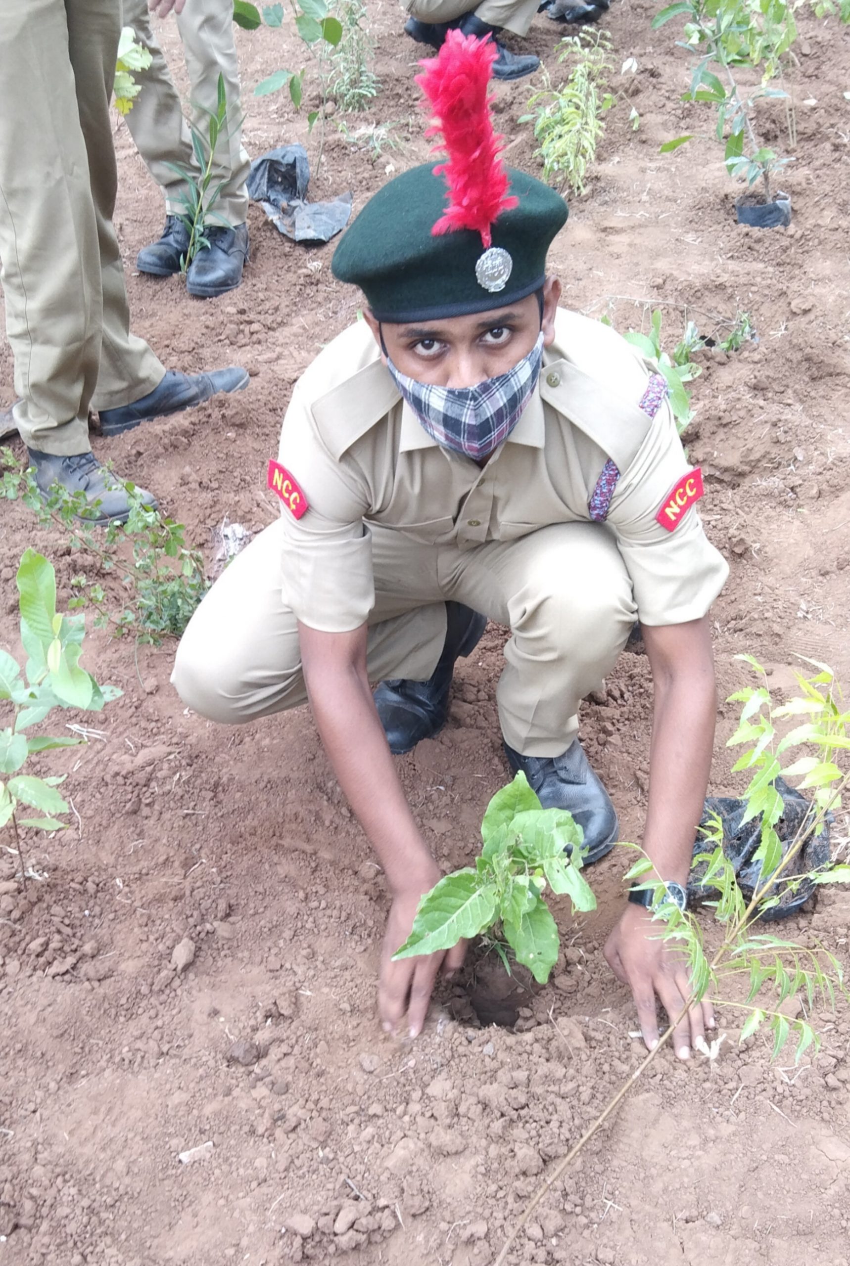 Tree plantation – India NCC