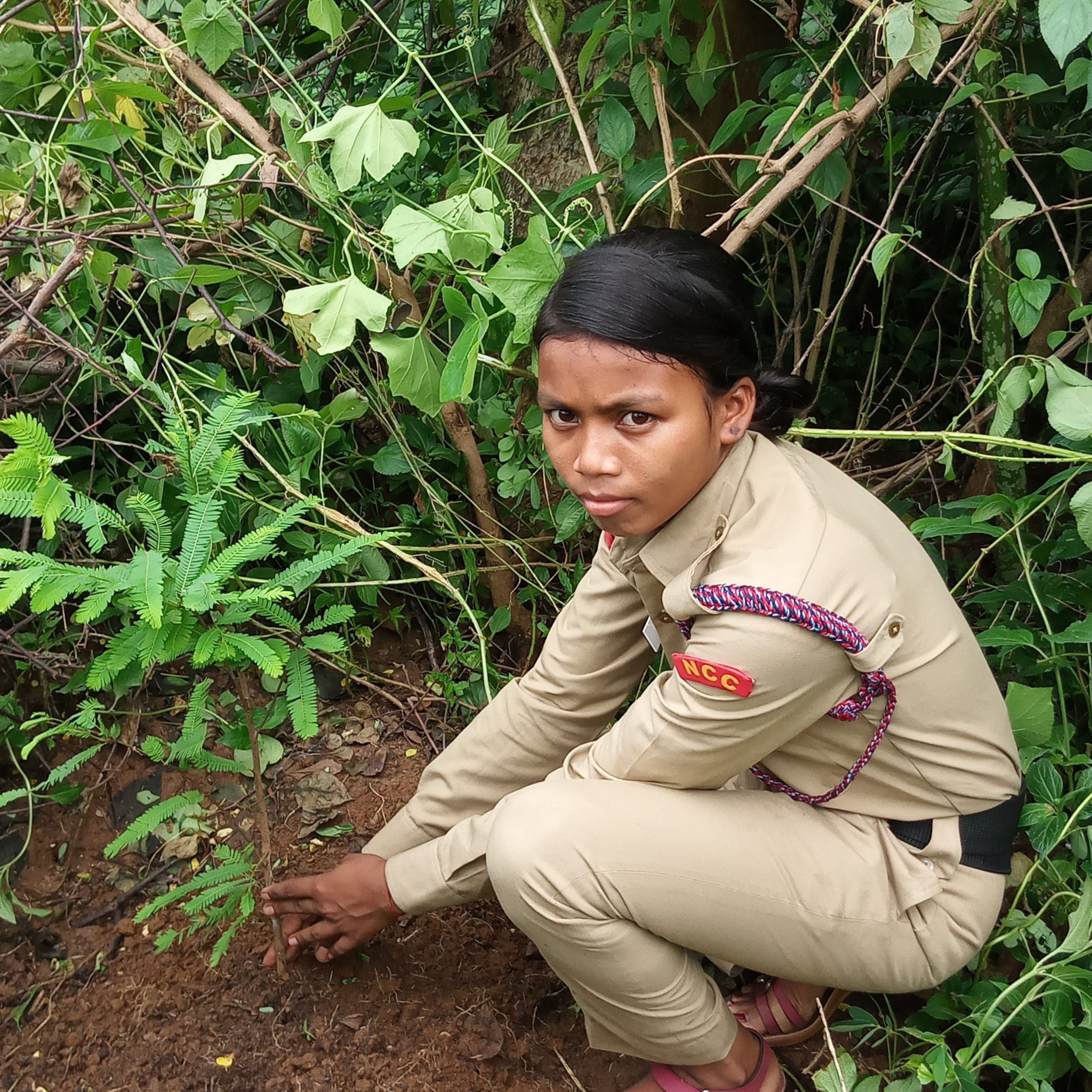 A PICTURE ABOUT TREE PLANTATION – India NCC