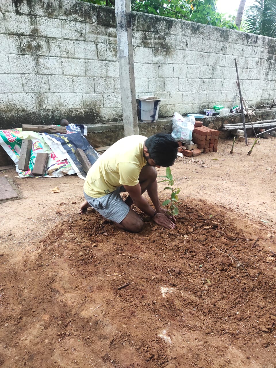 tree planting – India NCC