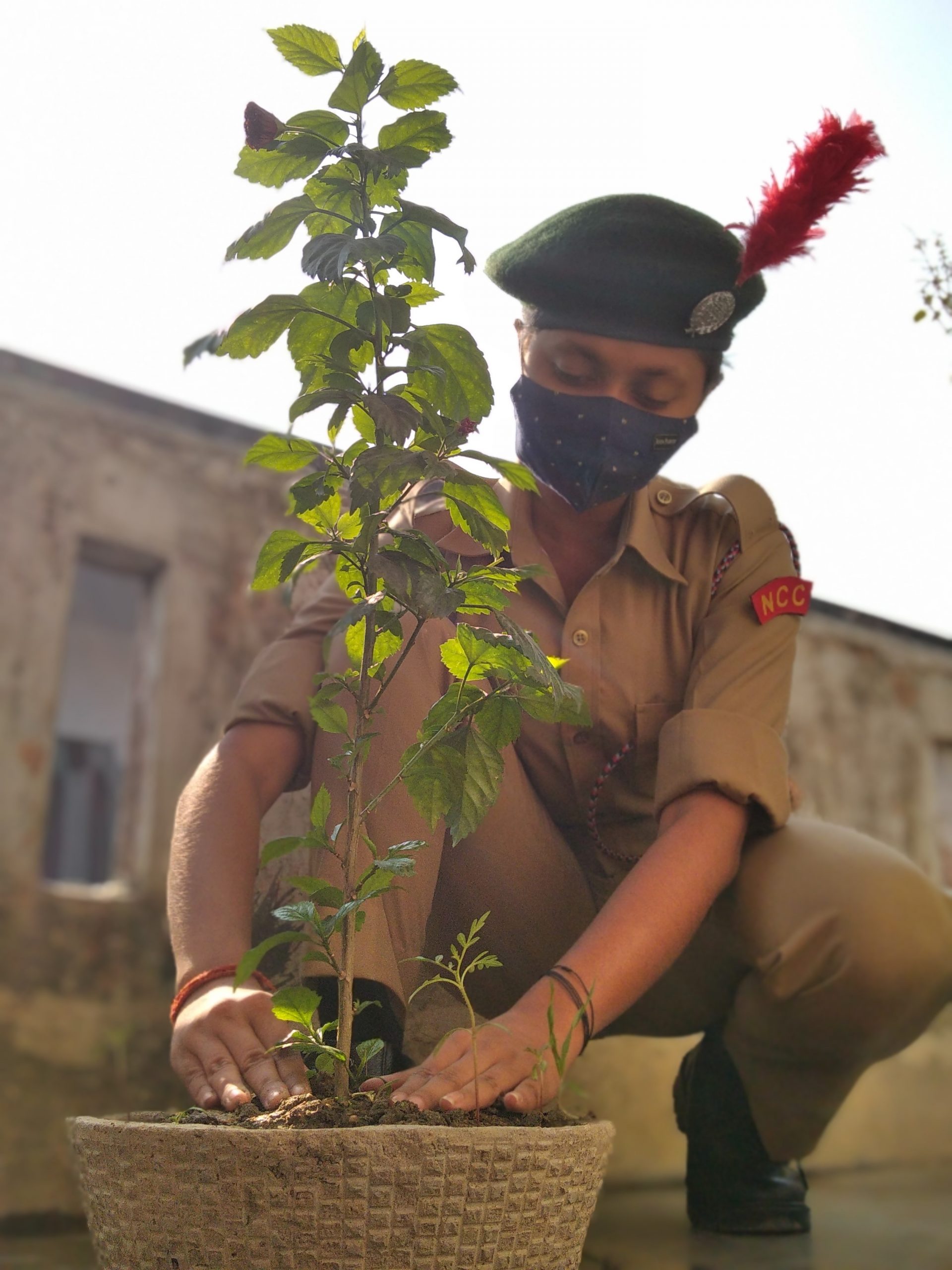 Tree planting – India NCC