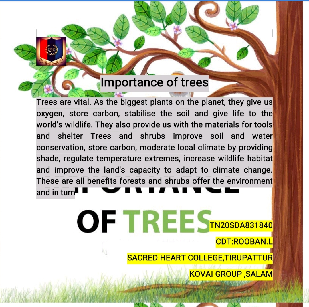 Importance of trees – India NCC