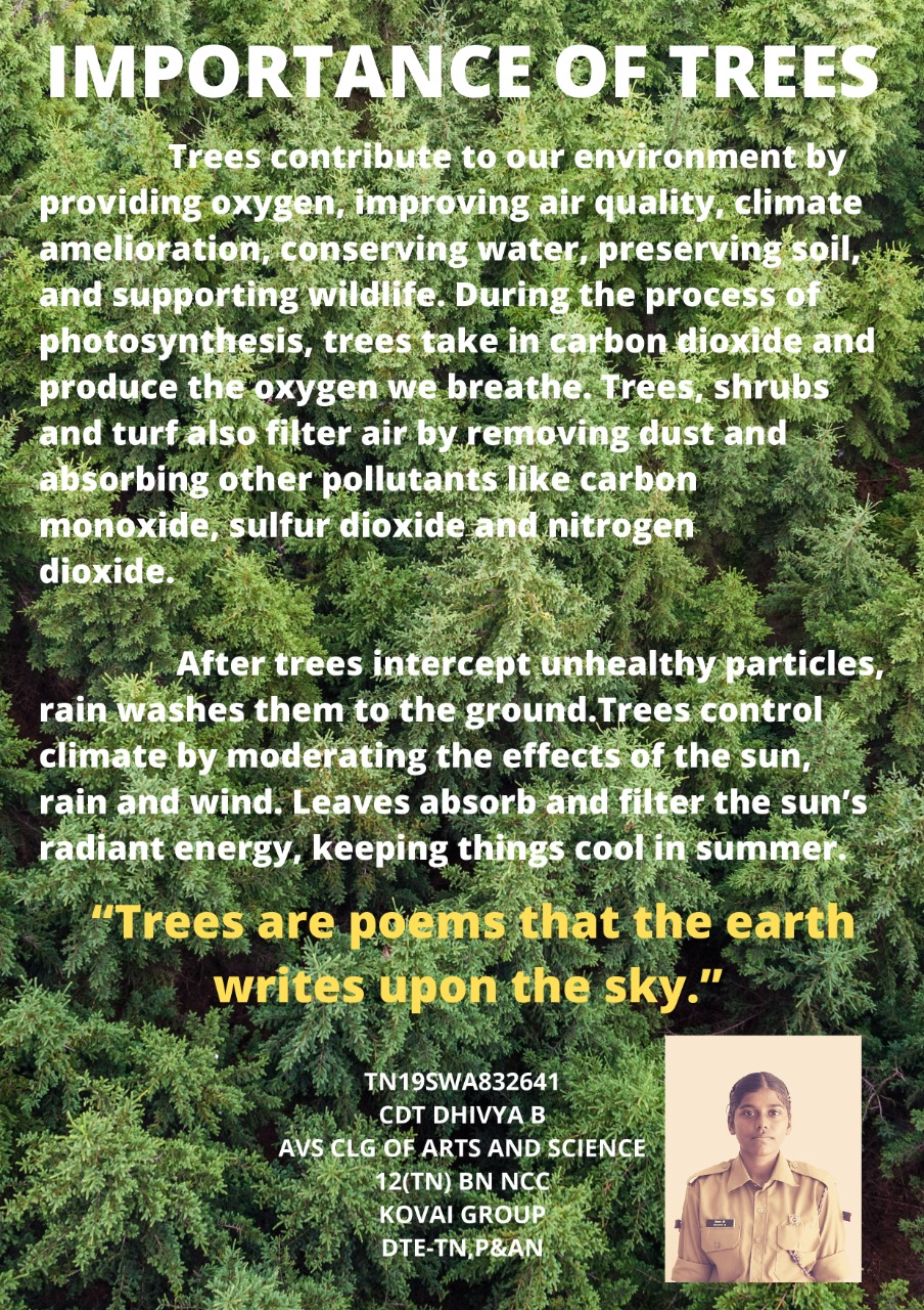 Importance of trees – India NCC
