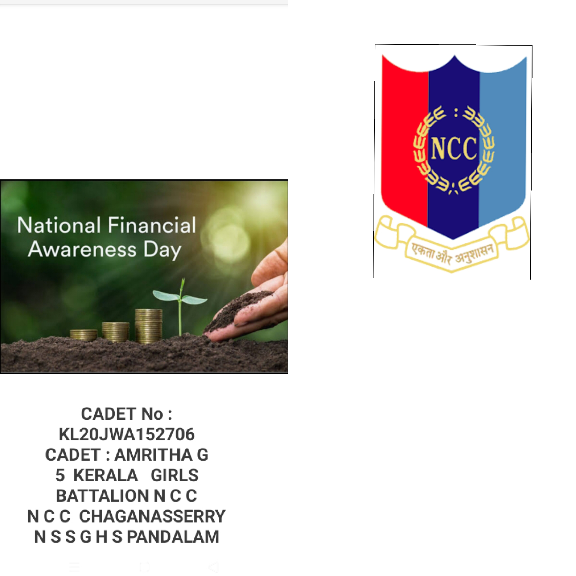 National Financial Awareness Day – India NCC