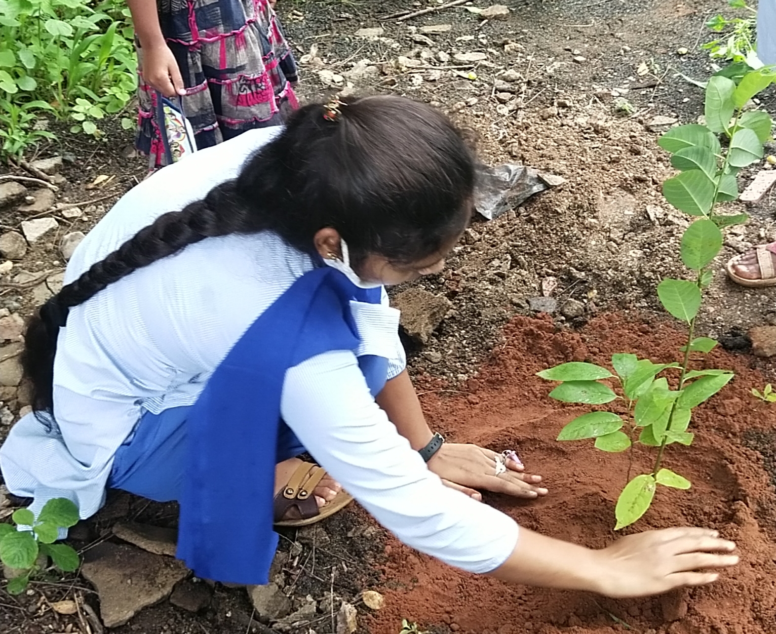 Tree plantation – India NCC