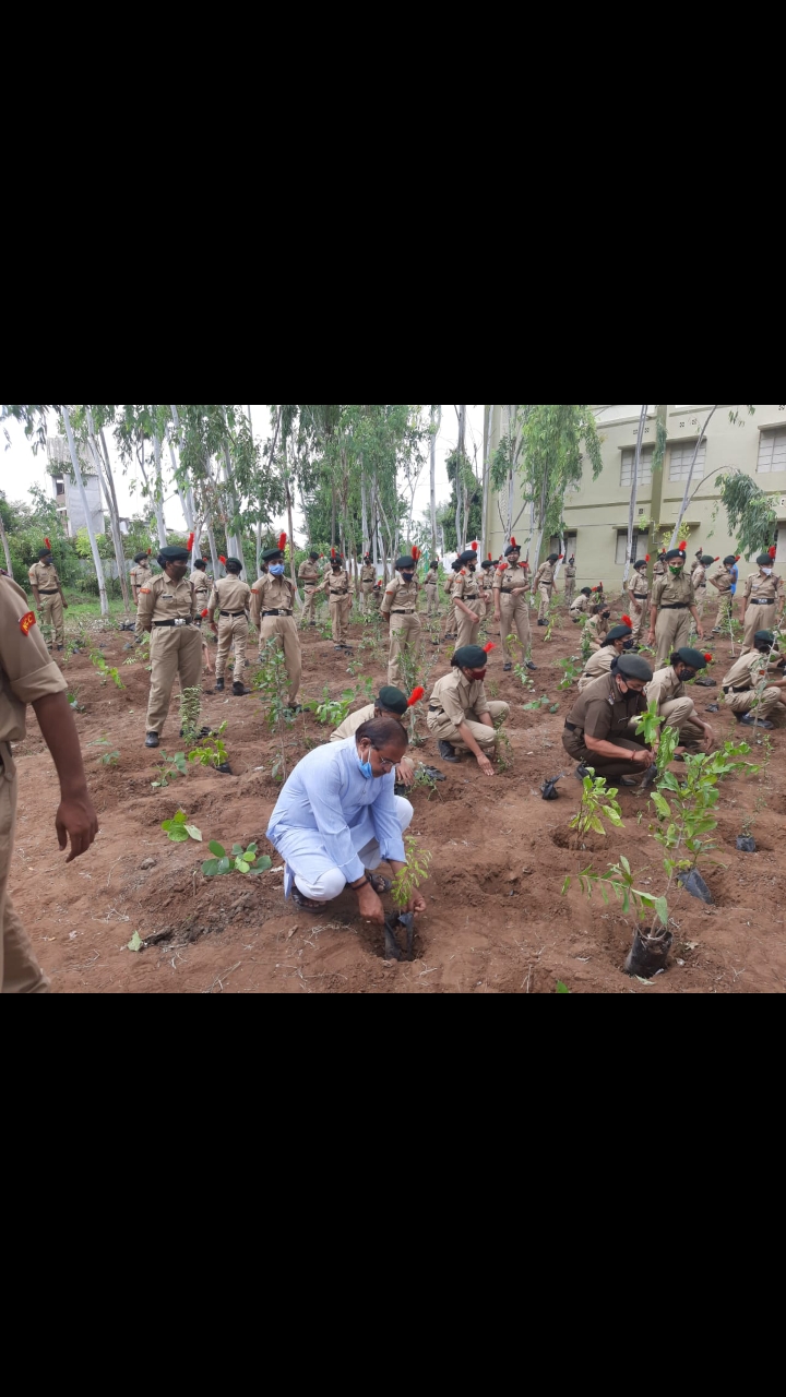 Tree plantation – India NCC