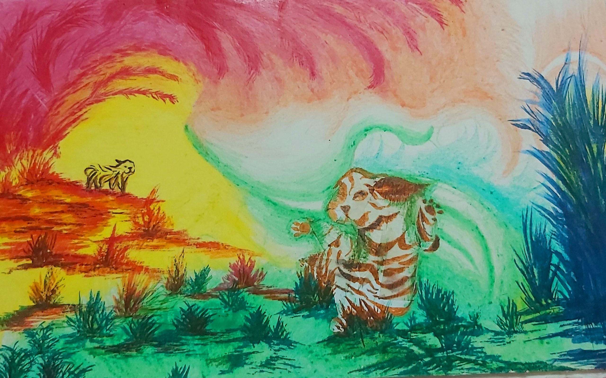 Tiger Conservation – India NCC