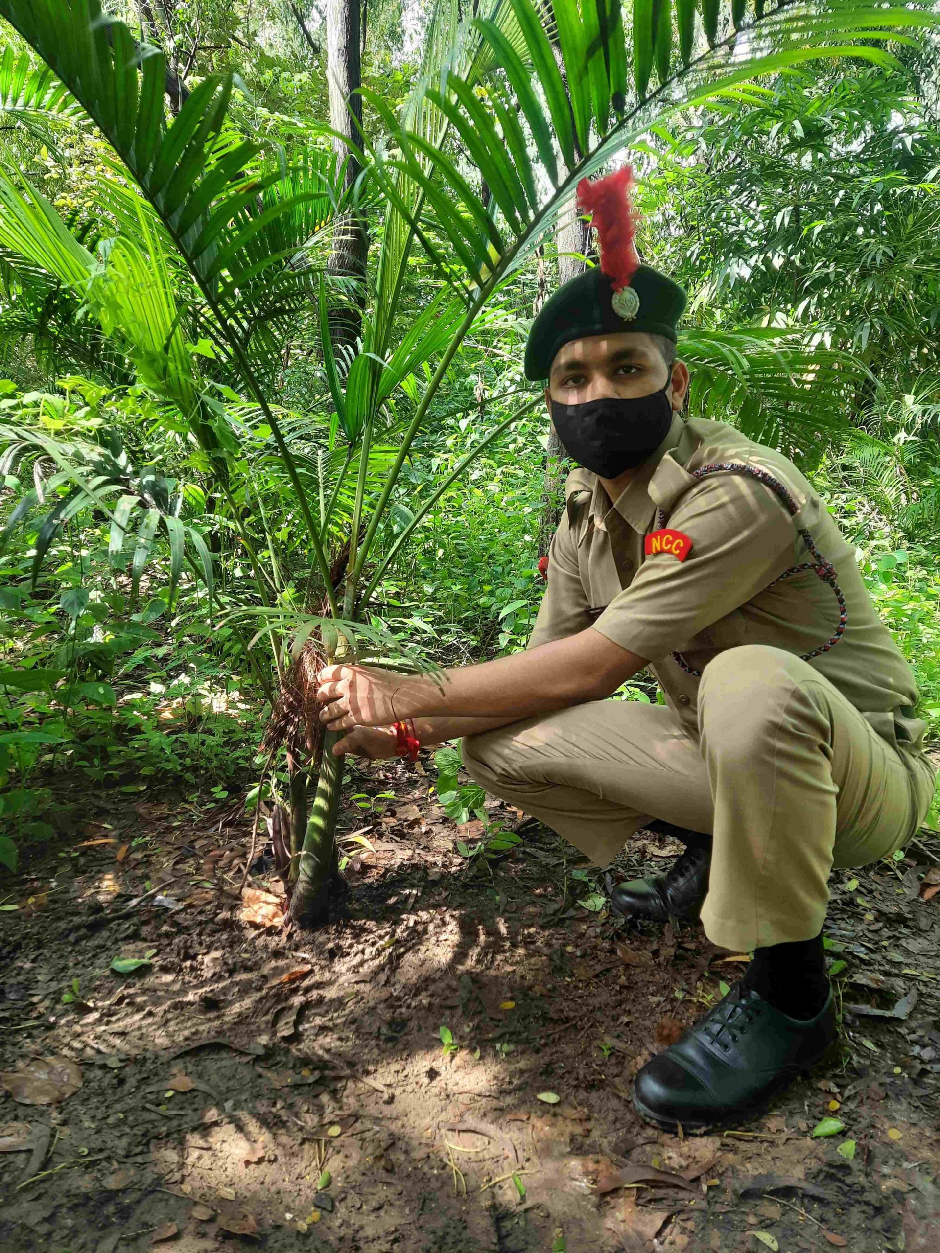 TREE PLANTATION – India NCC