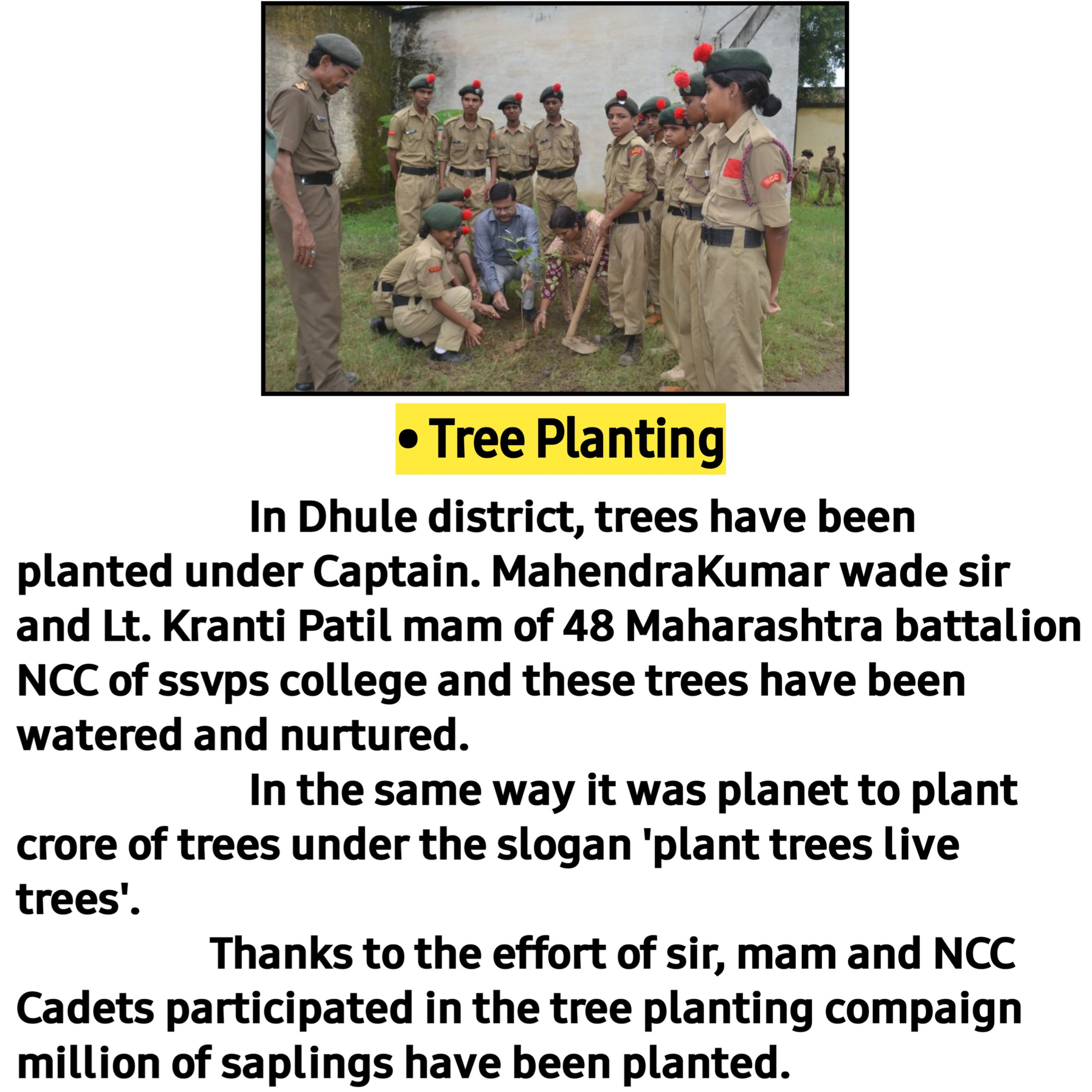 Tree planting – India NCC