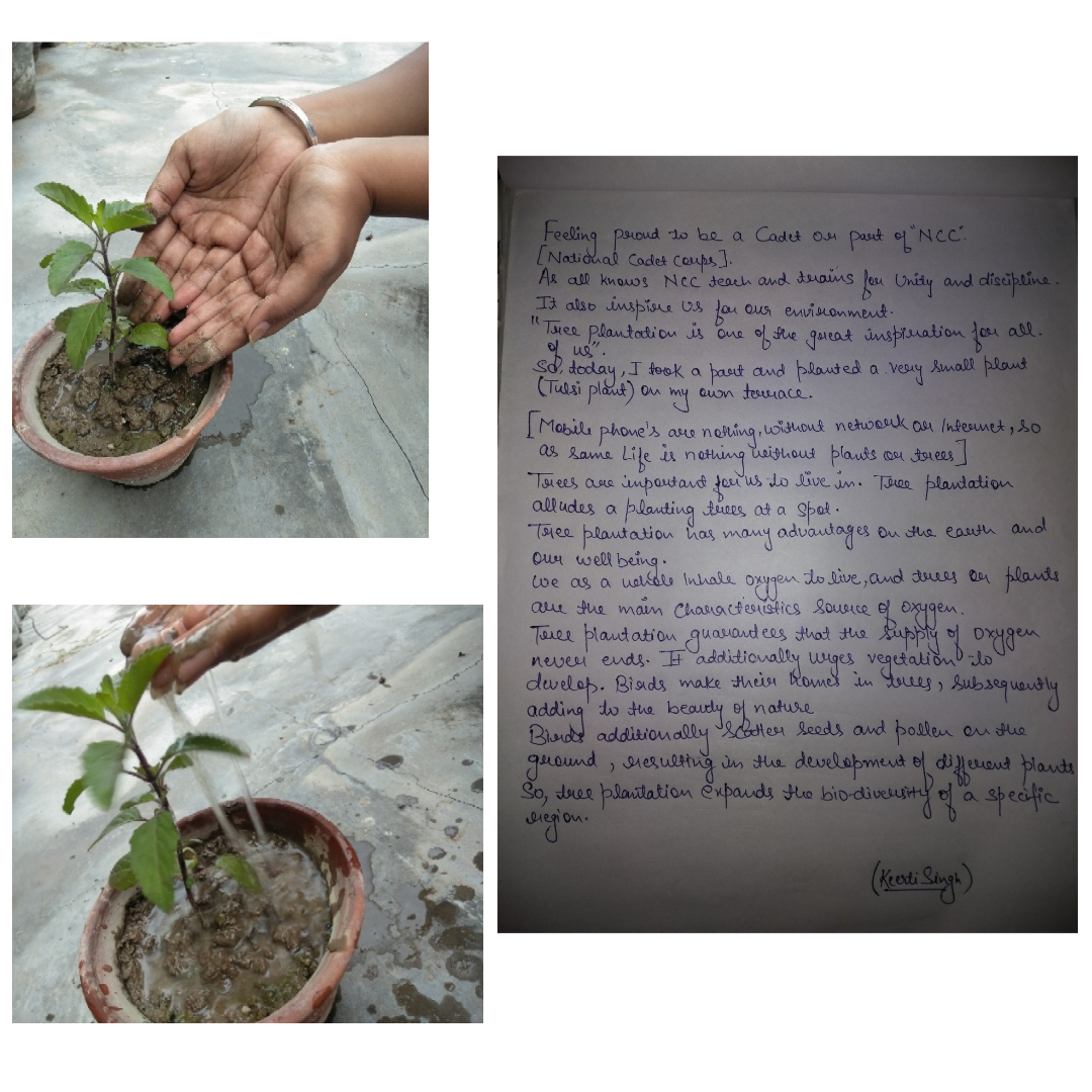 Tree plantation awareness – India NCC