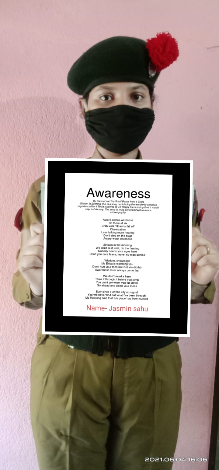 Social awareness program activity – India NCC