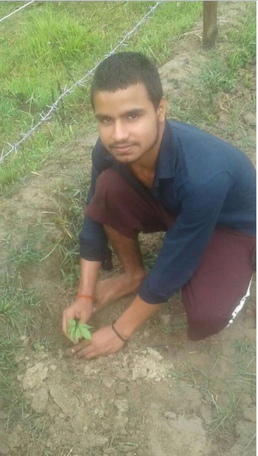 Plantation – India NCC