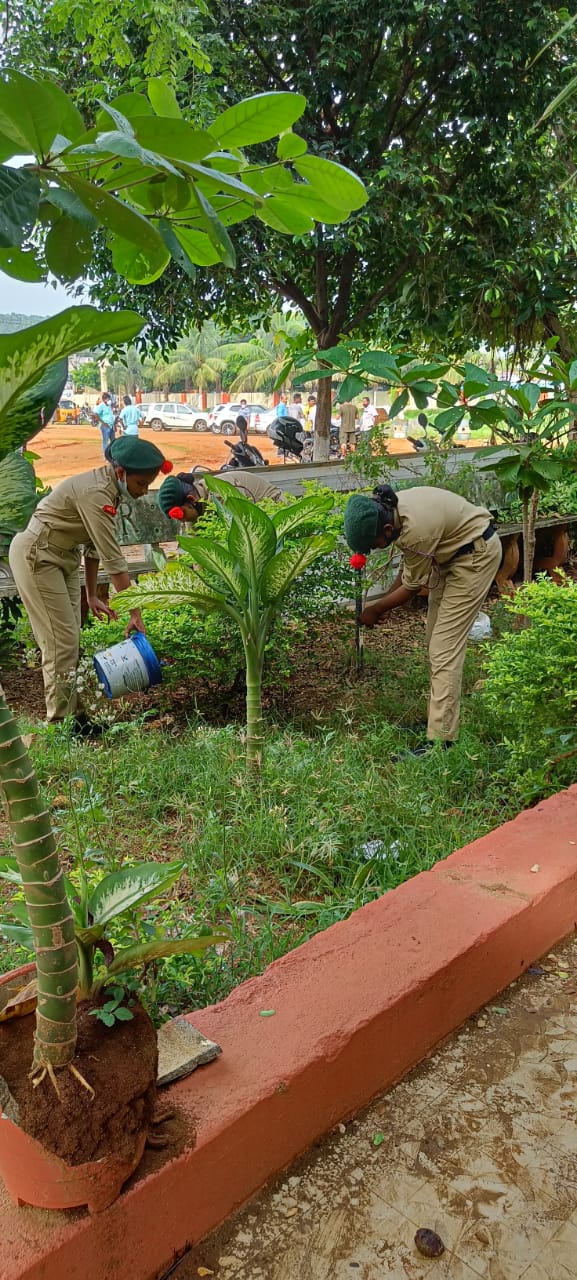 Save plants – India NCC