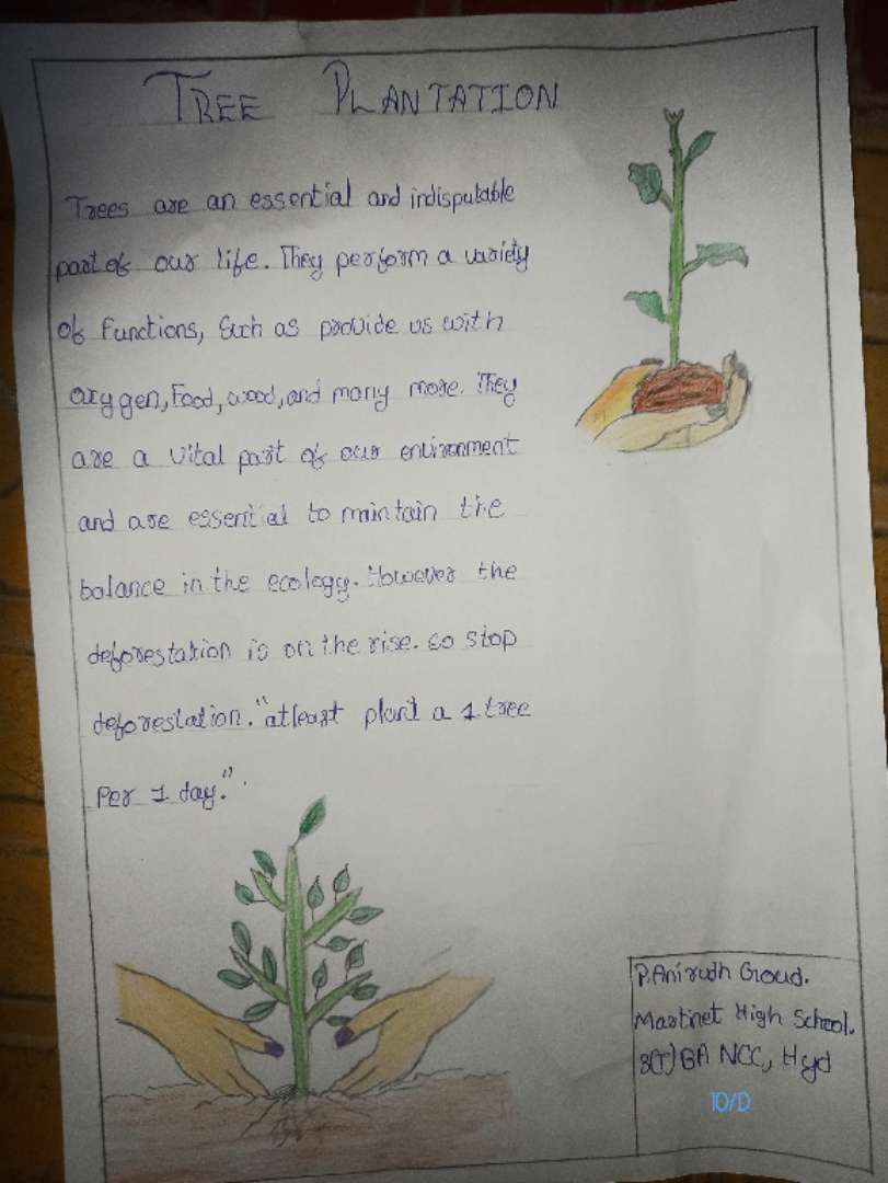 Tree plantation – India NCC