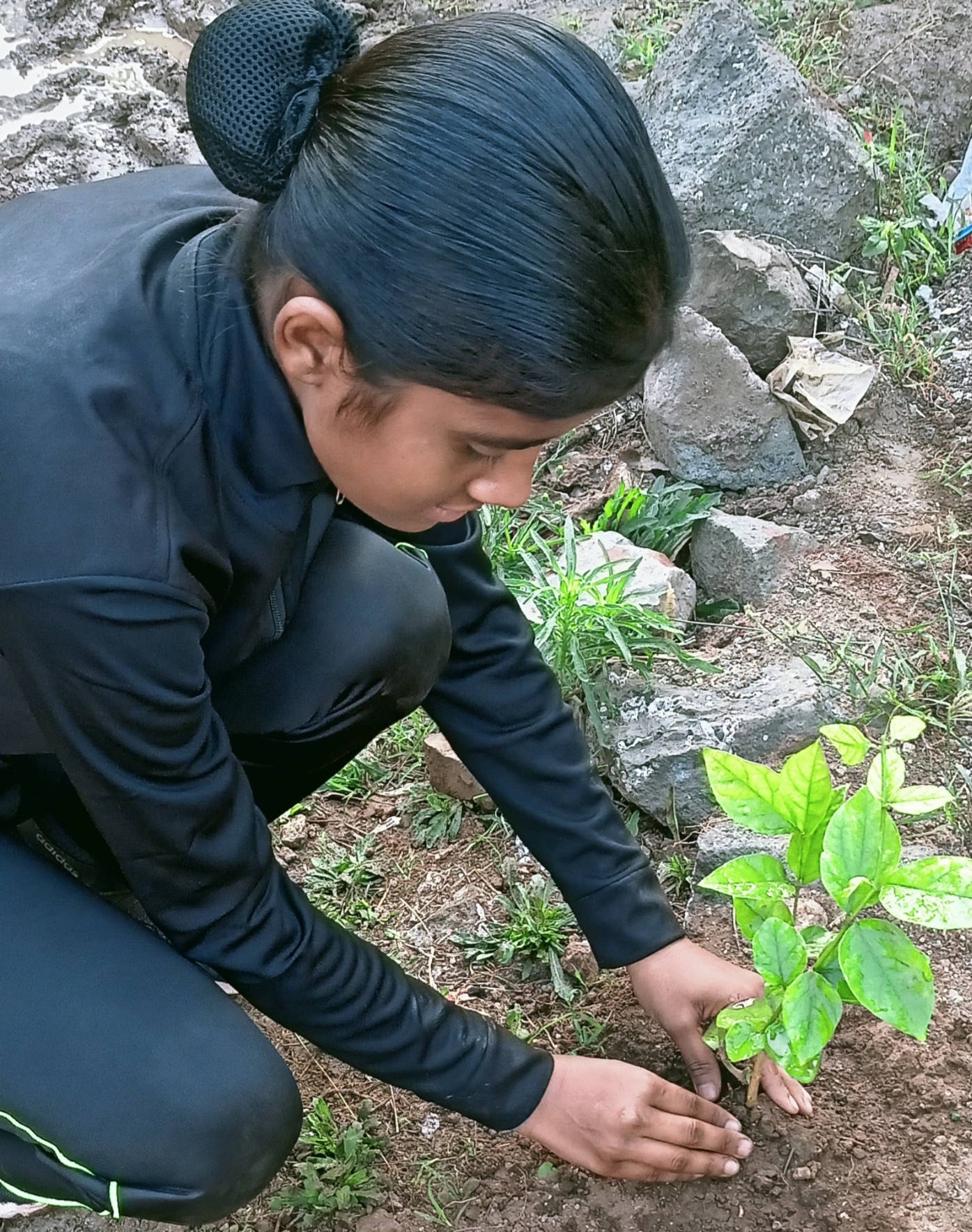 Tree plantation – India NCC